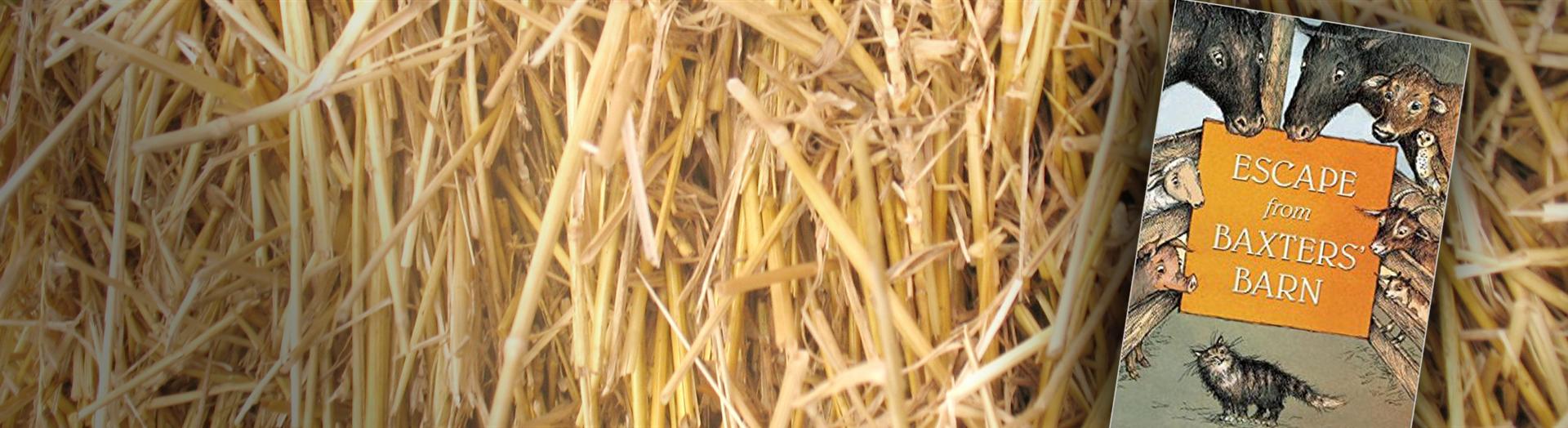 Escape from Baxters’ Barn | The Banner