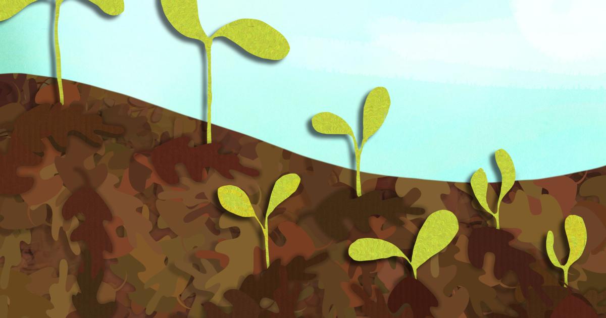 New Life | The Banner