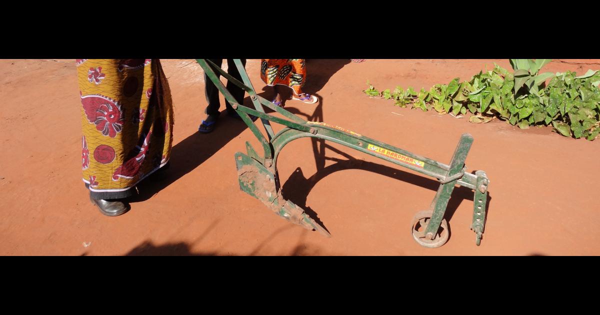 Rippers Help Farmers Beat Hunger in Zambia | The Banner