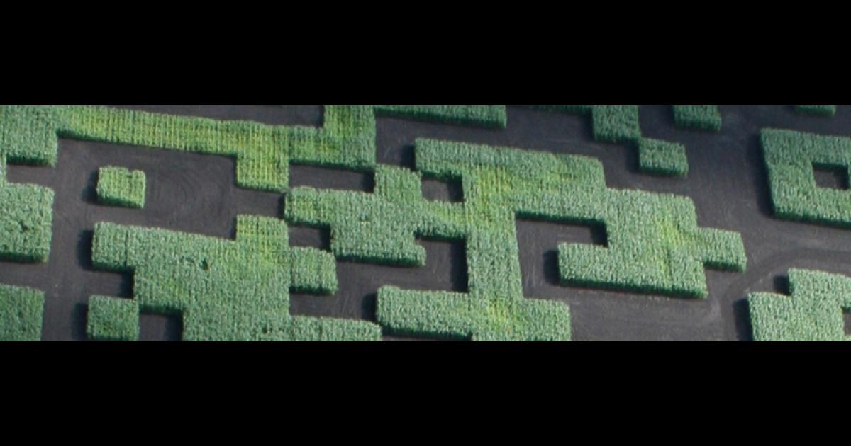 Alberta Farm Creates World’s Largest QR Code | The Banner