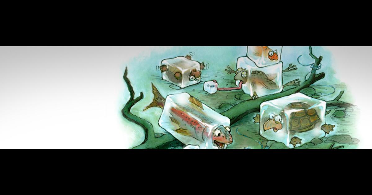 Winter Weather Wonders | The Banner