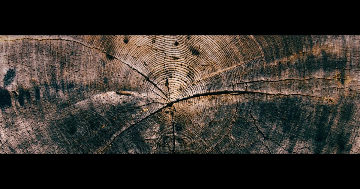 Whatever Happened to the Ten Commandments? | The Banner